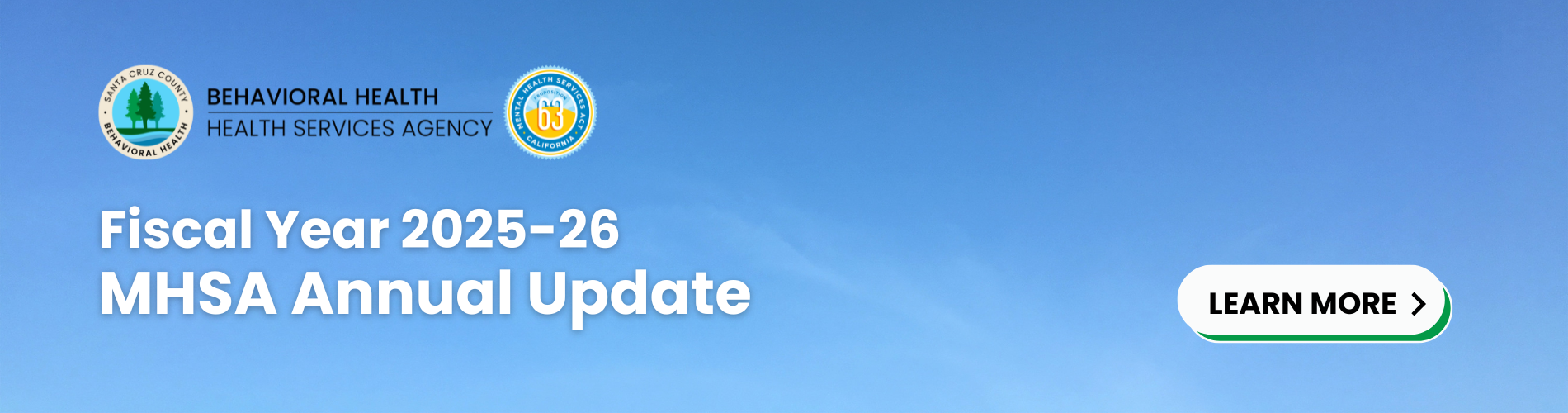 Mental Health Services Act